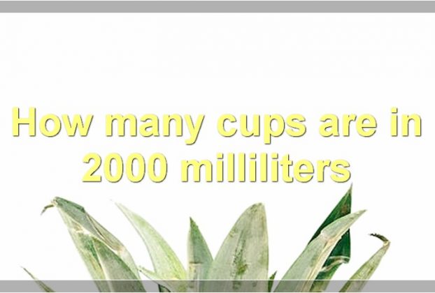 How Many Cups Are In 90 Ml? How Do You Convert 90 Ml To Cups? What Is ...