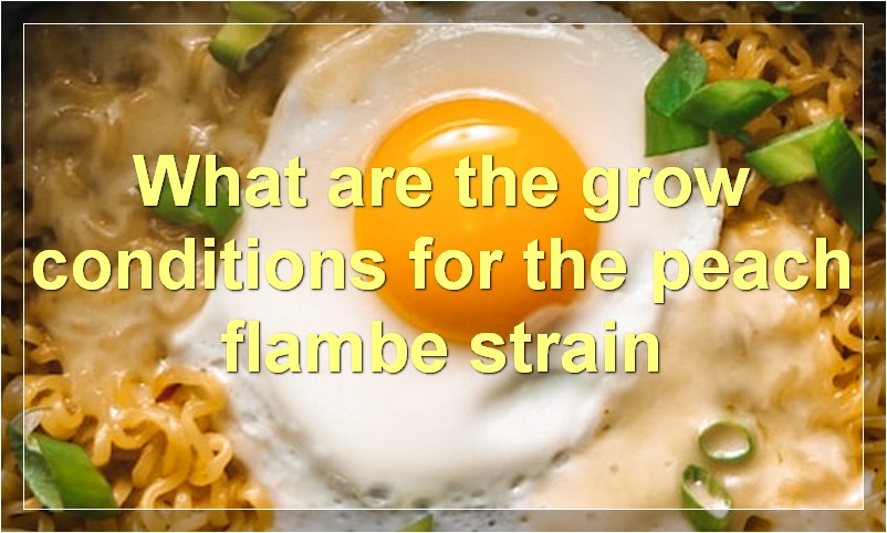 What are the grow conditions for the peach flambe strain | Food Readme
