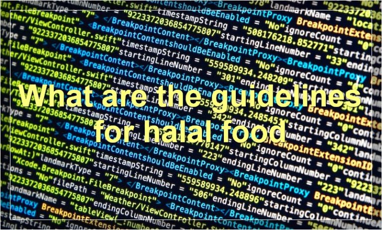 “Halal Vs. Haram: What’s The Difference And Why Does It Matter To Muslims?” | Food Readme