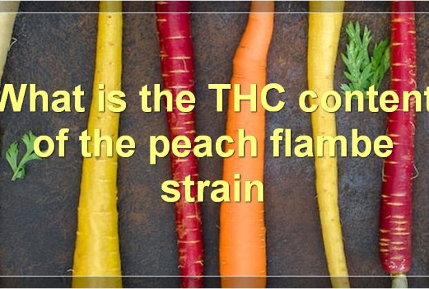 What is Crudo? Exploring the Origins, Unique Preparation, and Delicious ...