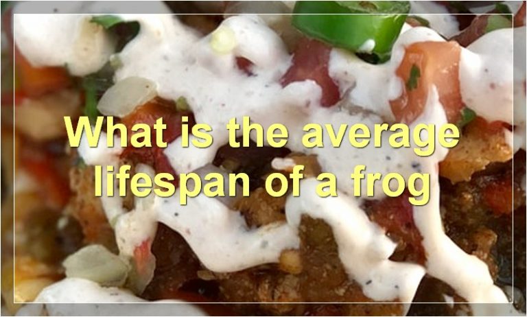 10 Common Frogs Found In France, The Average Lifespan Of A Frog, How ...