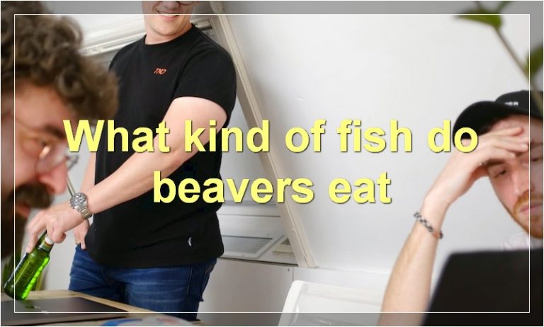 What Kind Of Fish Do Beavers Eat? Do All Beavers Eat Fish? How Often Do ...