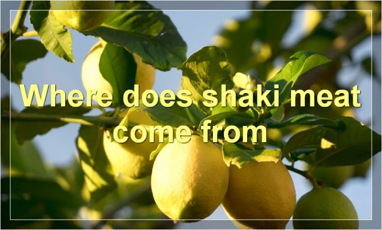 Everything You Need To Know About Shaki Meat | Food Readme