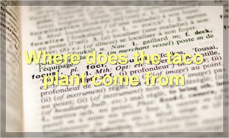 The Taco Plant: Everything You Need To Know | Food Readme