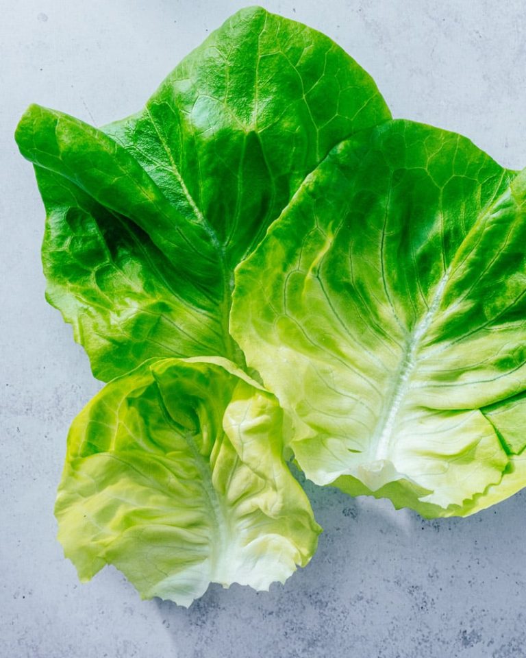 Can You Freeze Lettuce? A Complete Guide | Food Readme
