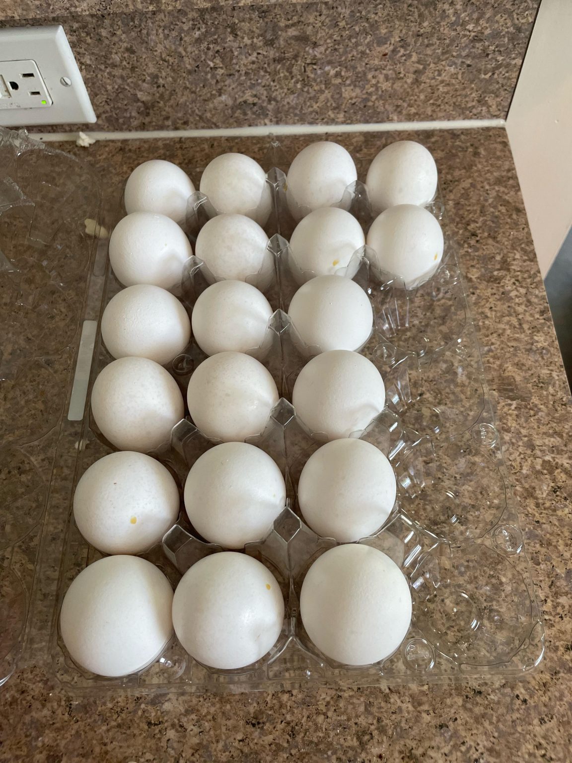 Can You Leave Eggs Out Overnight? Safety, Storage Tips & More | Food Readme