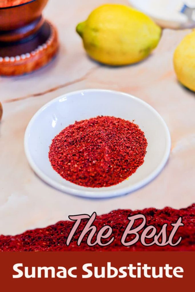 Discover the Perfect Sumac Spice Substitute: A Flavorful Alternative ...