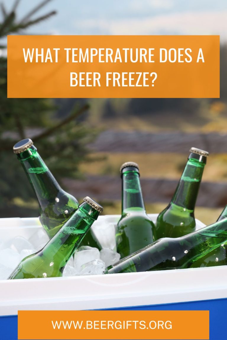 Does beer freeze? The science behind icy brews! | Food Readme