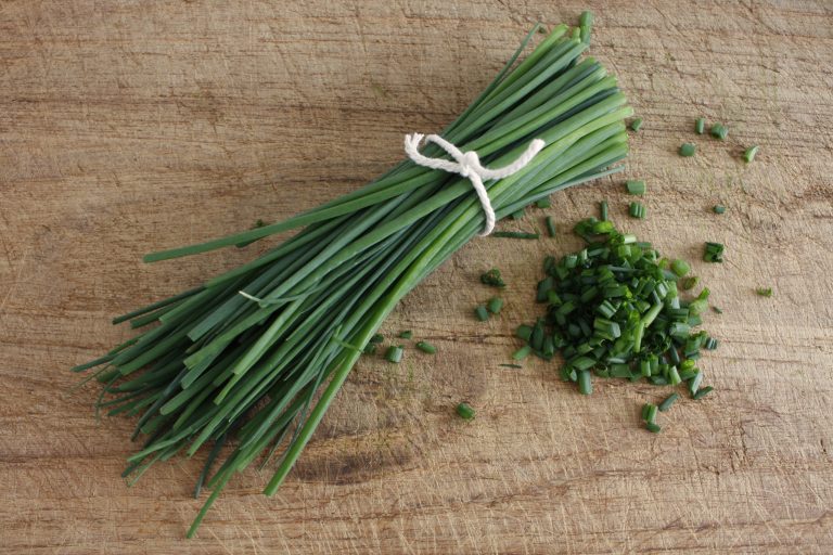 Drying Chives: A StepbyStep Guide for Optimal Preservation | Food Readme