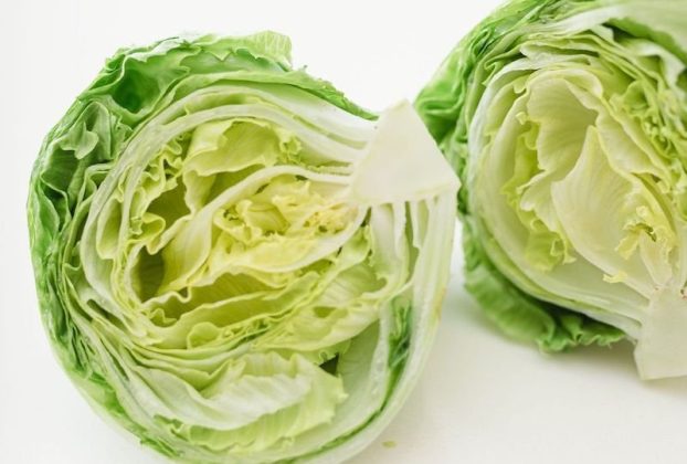 How Hot is Wasabi? The Scoville Scale Explained | Food Readme