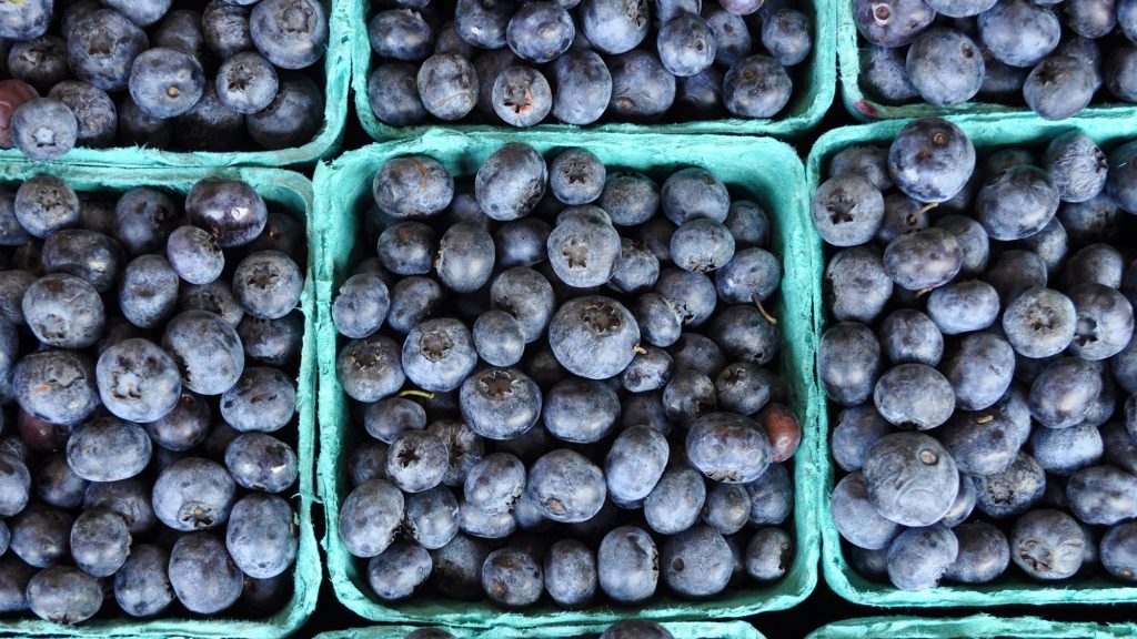 Inside of Blueberries: Discover the Littleknown Secrets | Food Readme