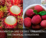 Lychee vs Rambutan: Unraveling the Exotic Delights | Food Readme