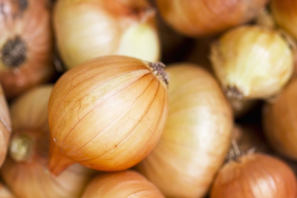 shallots-vs-scallions-unlocking-the-secrets-of-onion-varieties | Food ...