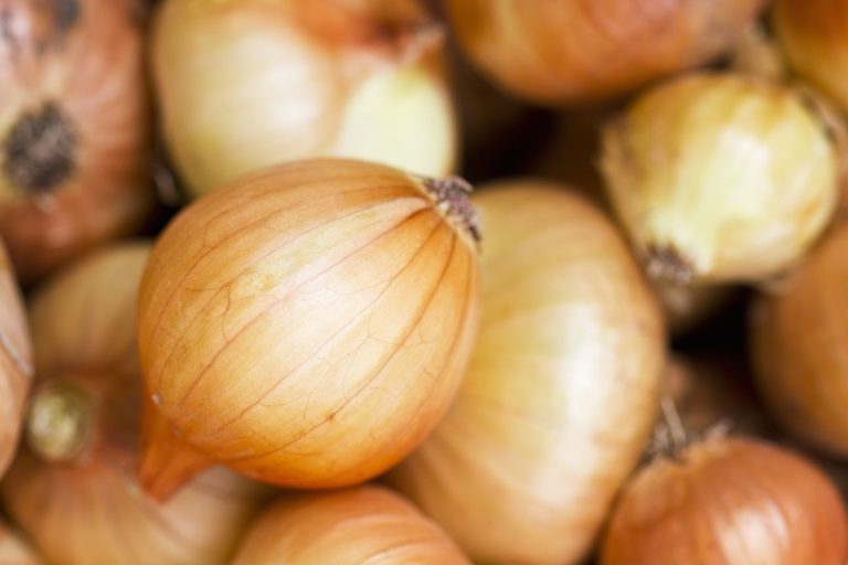 Shallots vs scallions: Unlocking the Secrets of Onion Varieties | Food ...