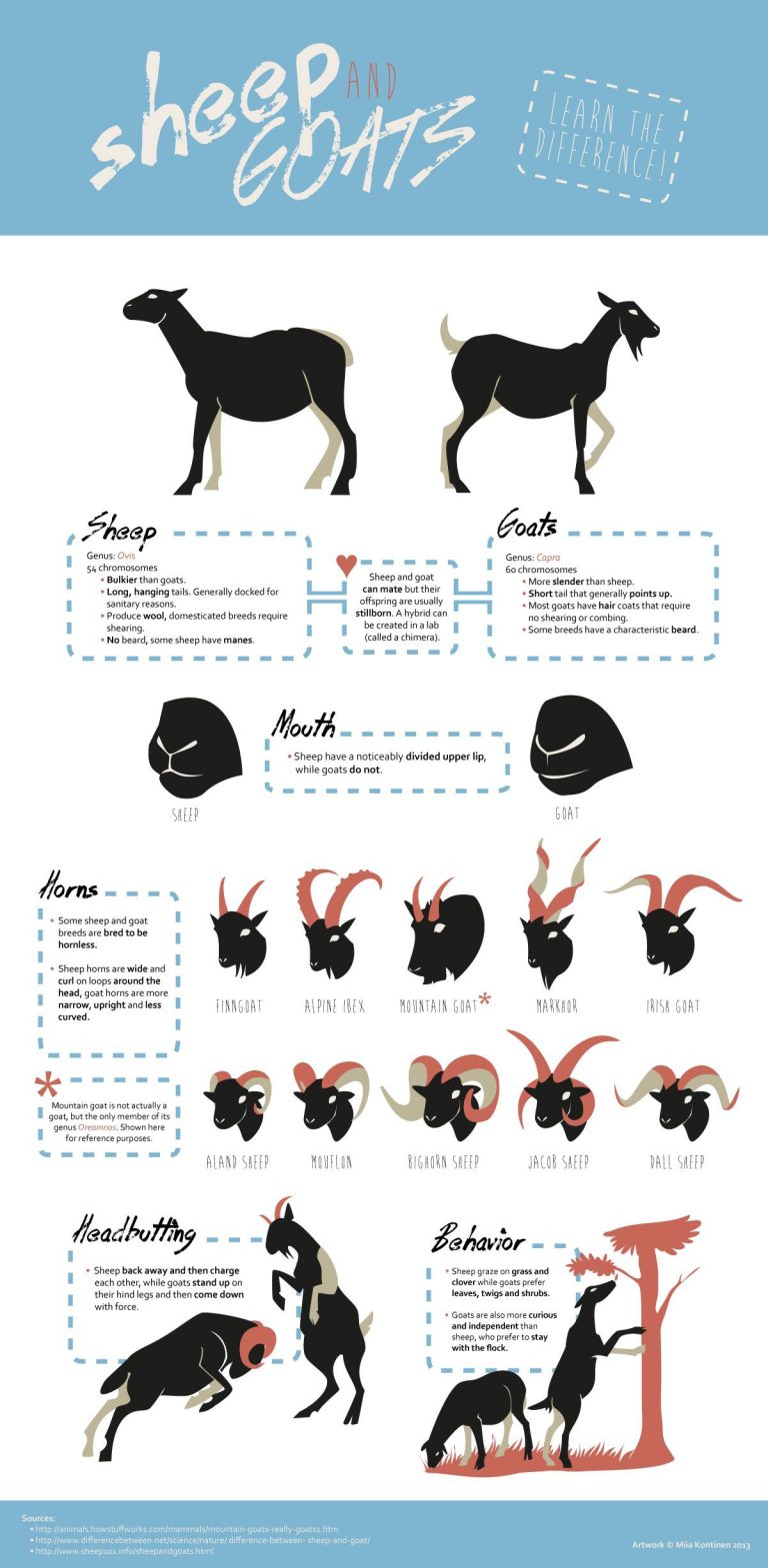 Sheep vs Lamb vs Goat: Understanding Their Differences | Food Readme