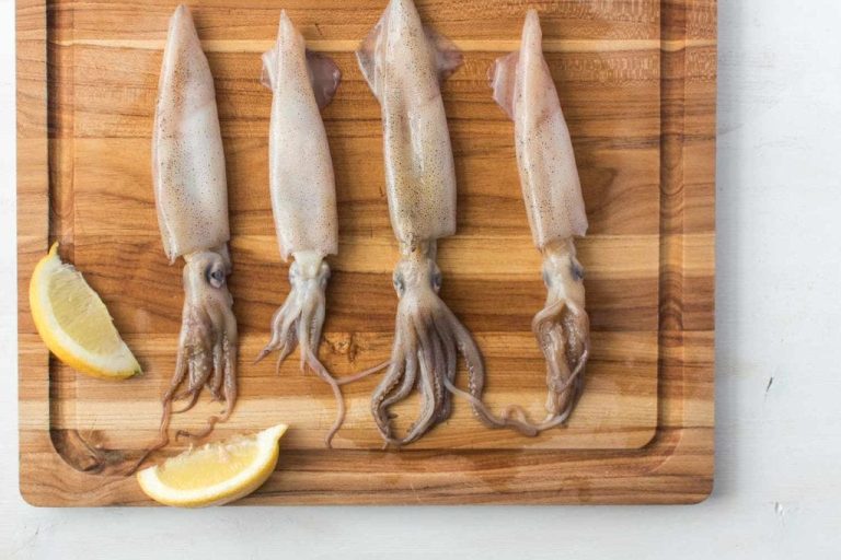 Squid vs Calamari: Exploring Culinary Similarities and Differences ...